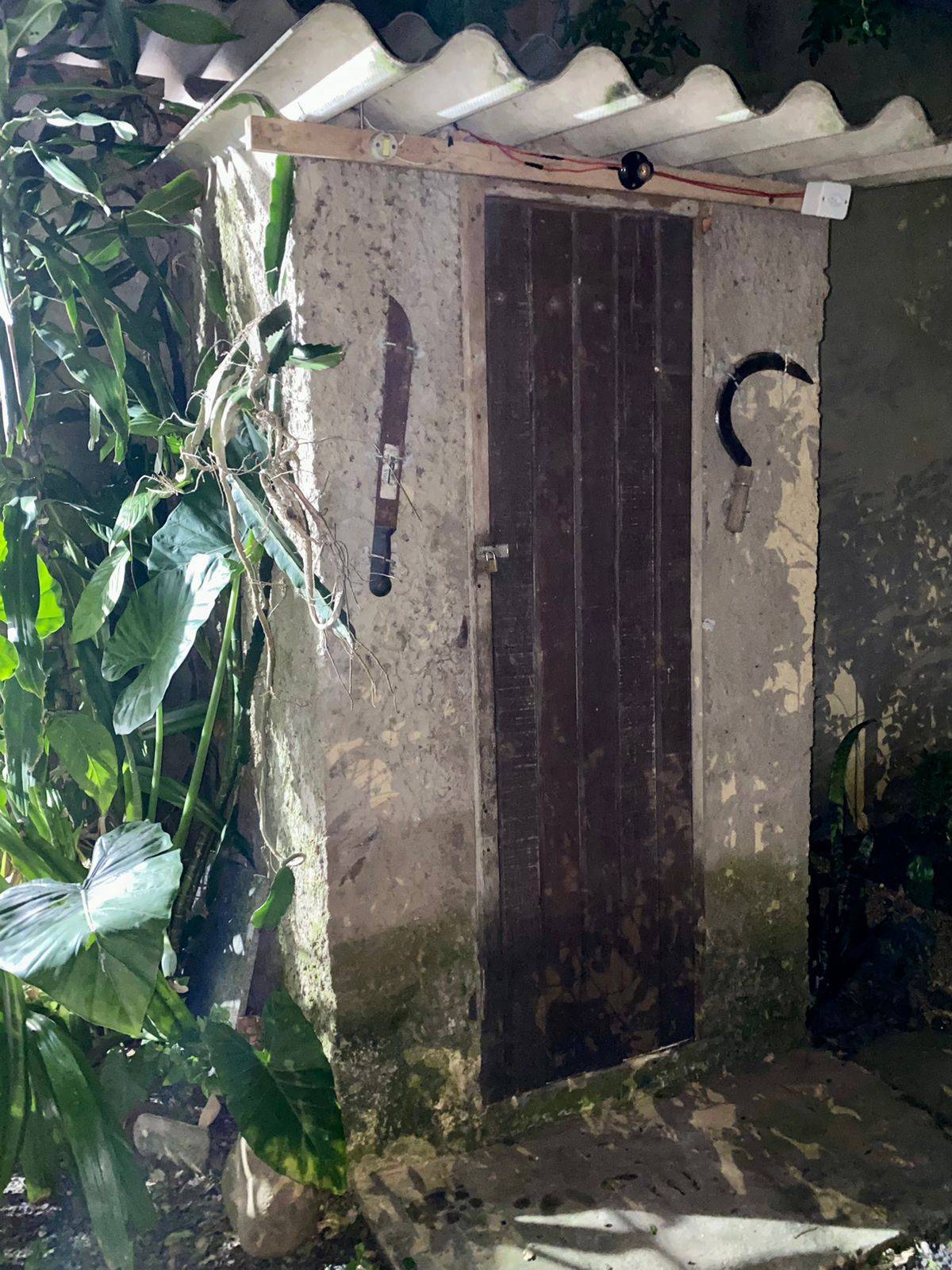 Pai Alexandre corta para Lodê de Mãe Fabiana - Fortaleza Ilê Orixá ...