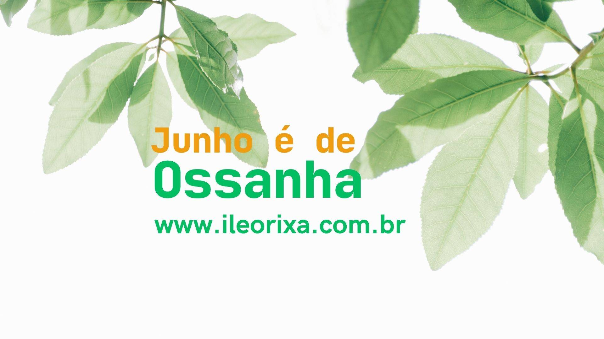 Ossanha é comemorado em Junho - Fortaleza Ilê Orixá - Axé da Fortaleza